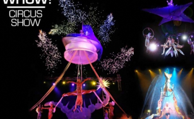 Spectacle de cirque moderne - Spectacles et numéros visuels par Talents ...